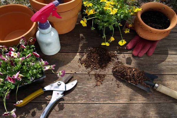 6 Simple Tricks for Beautiful Garden Containers | Gardener's Path