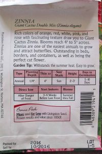 How to Read Seed Packets for Planting Success | Gardener's Path