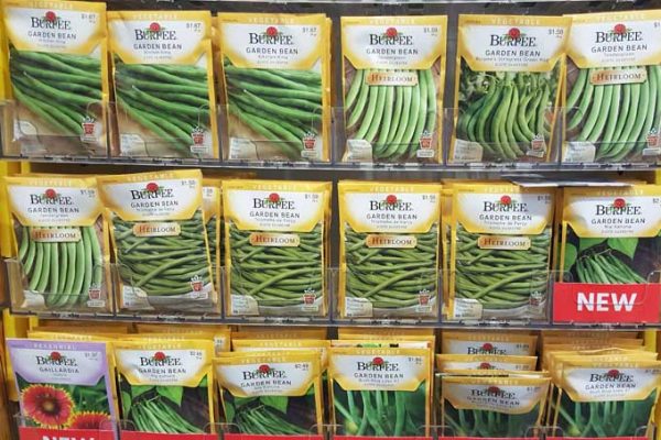 How to Read Seed Packets for Planting Success | Gardener's Path