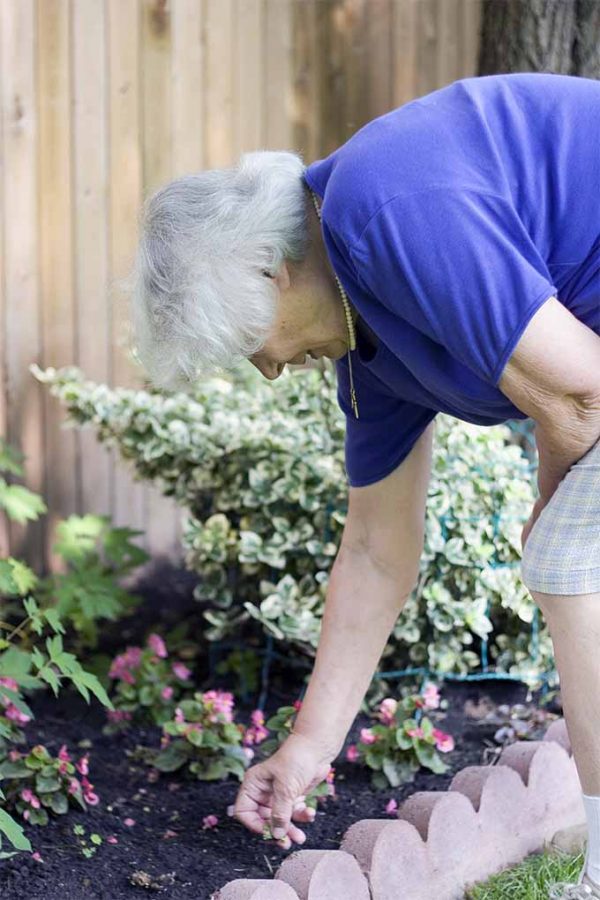 How Senior Citizens Can Benefit From Gardening | Gardener's Path