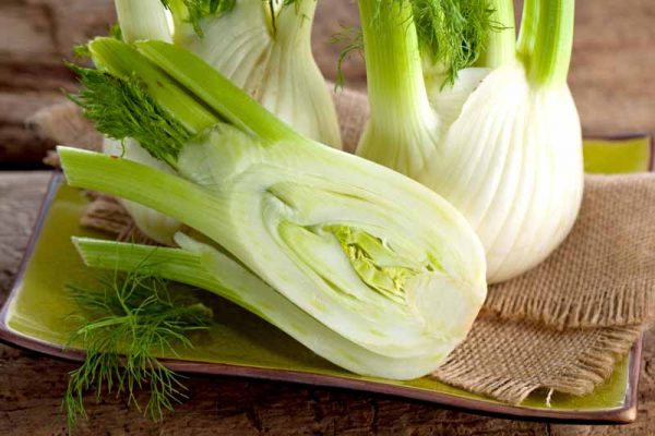 How to Grow and Care for Fennel in Your Herb Patch | Gardener's Path