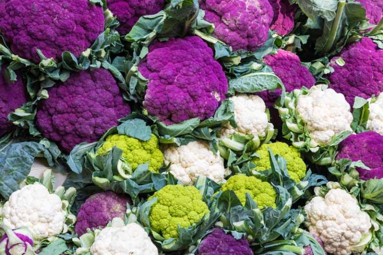 19 of the Best Cauliflower Varieties to Grow at Home