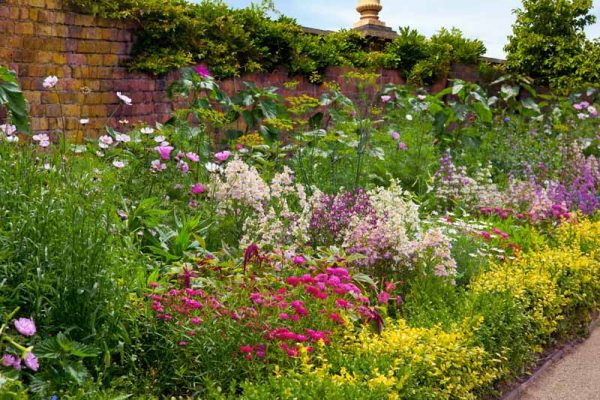 General Flower Garden Growing Guides, Tips, and Information