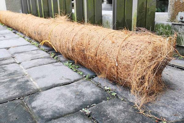 Learn How to Use Coconut Coir Products in the Garden