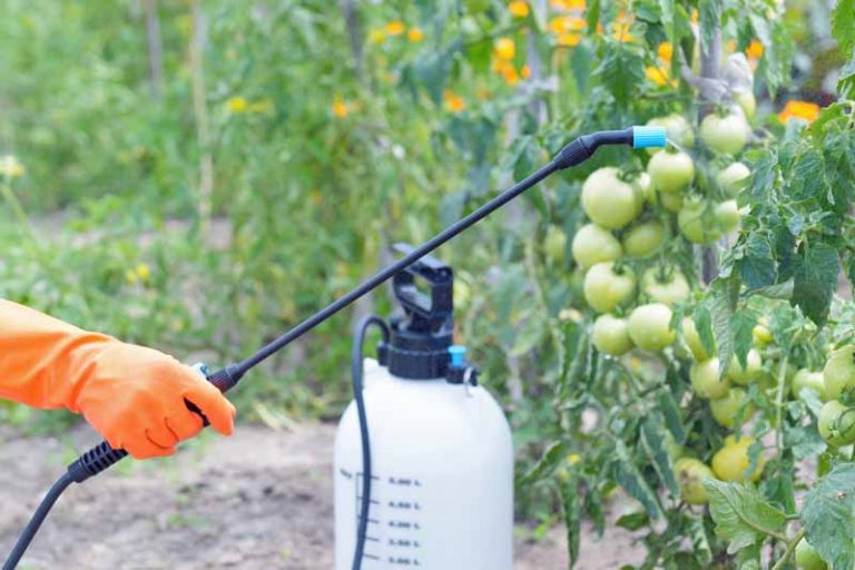 Integrated Pest Management (IPM): What is it and How to Use it?