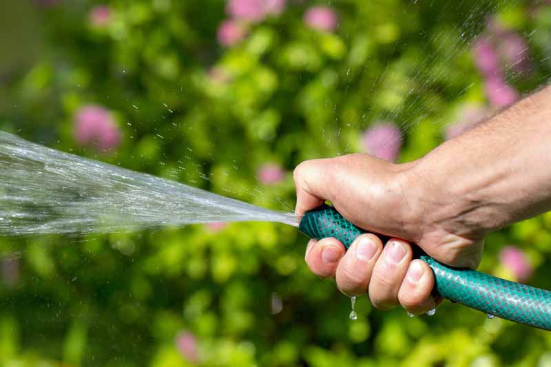 Drinking Water Out Of Garden Hose At Alicia Finch Blog Drinking Water Out Of Garden Hose At Alicia Finch Blog