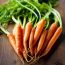 13 of the Best Carrot Varieties to Grow at Home | Gardener's Path