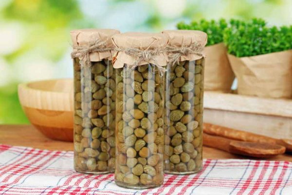Grow and Use Capers: Learn About the Caper Bush | Gardener's Path