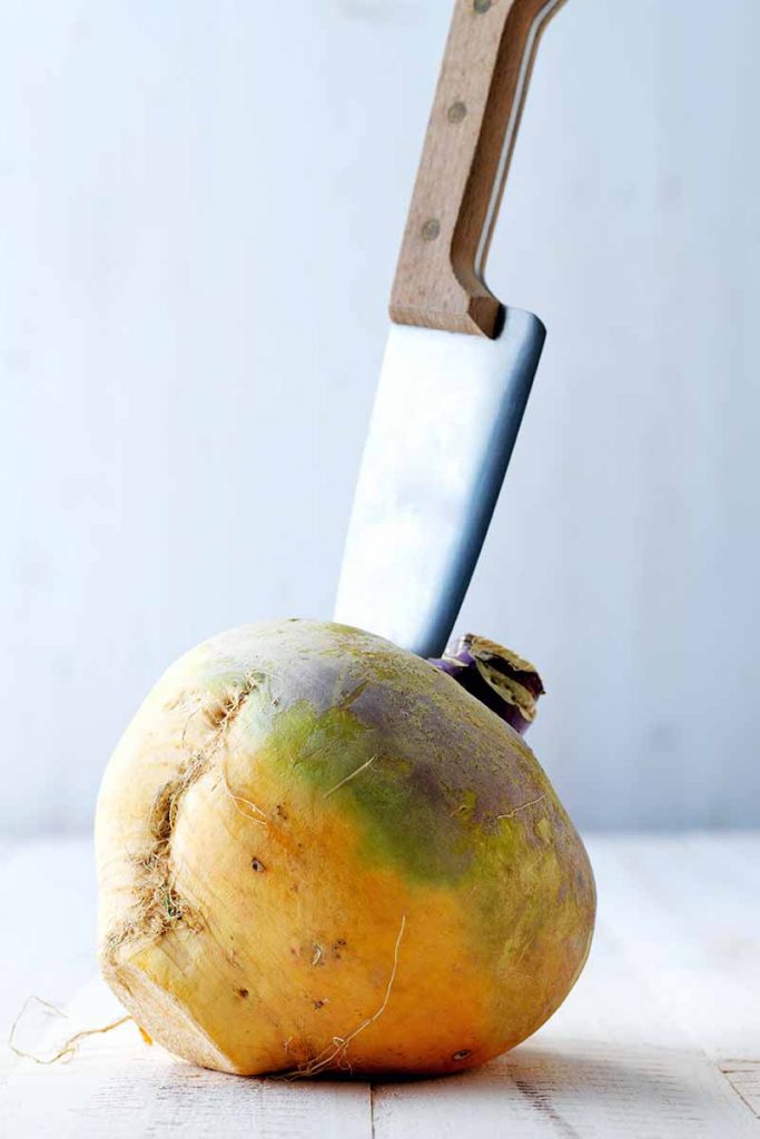 How to Harvest and Store Rutabaga | Gardener’s Path