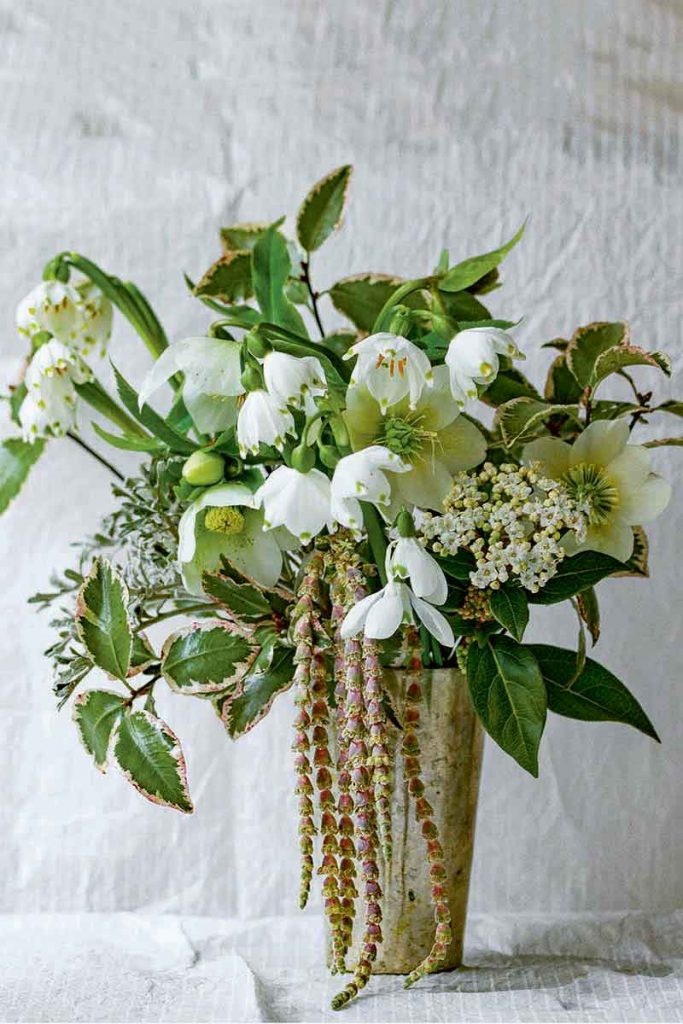 A Review of In Bloom by Clare Nolan | Gardener’s Path