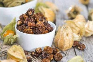 How to Plant and Grow Ground Cherries | Gardener’s Path