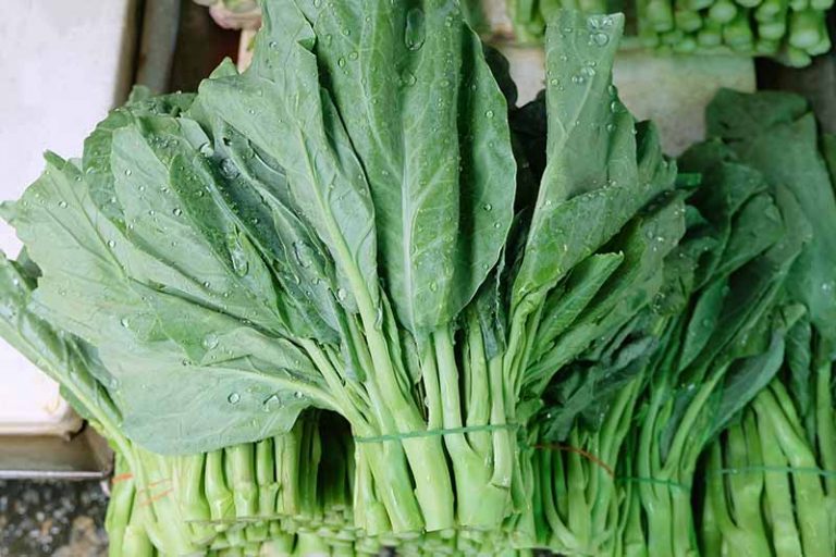 How to Grow Collard Greens | Gardener’s Path