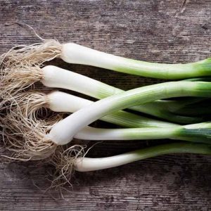 How to Grow and Harvest Bunching Onions | Gardener's Path