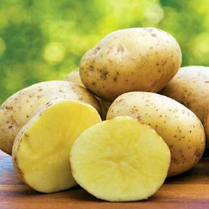 The Best 11 Potato Varieties to Grow at Home | Gardener’s Path