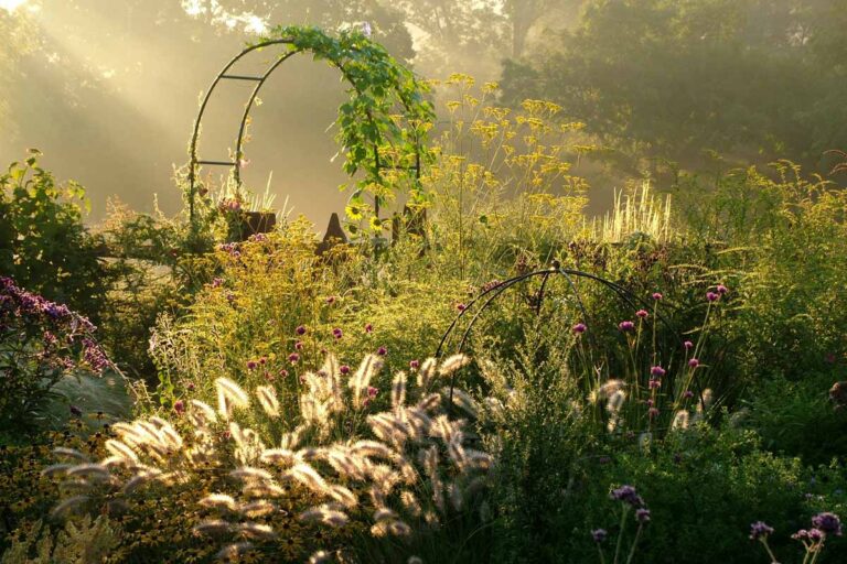 Fall Garden Planting Design Guide | Gardener’s Path