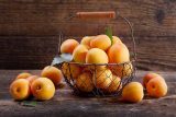 7 of the Best Cold Hardy Apricot Trees | Gardener's Path