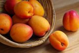 7 of the Best Cold Hardy Apricot Trees | Gardener's Path