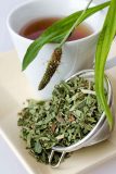 How to Plant and Grow Plantain | Gardener’s Path