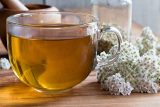 The Uses and Benefits of Yarrow | Gardener’s Path