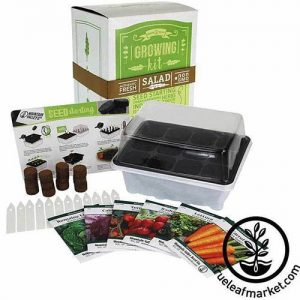 31 of the Best Gardening Kits | Gardener’s Path