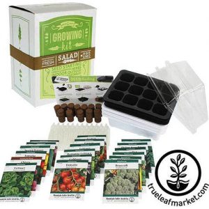31 of the Best Gardening Kits | Gardener’s Path