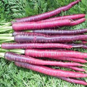 Purple Produce: Should You Eat More Purple Fruits and Veggies?