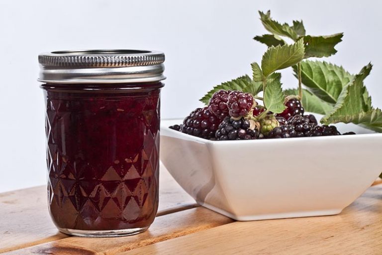 When and How to Harvest Boysenberries | Gardener’s Path