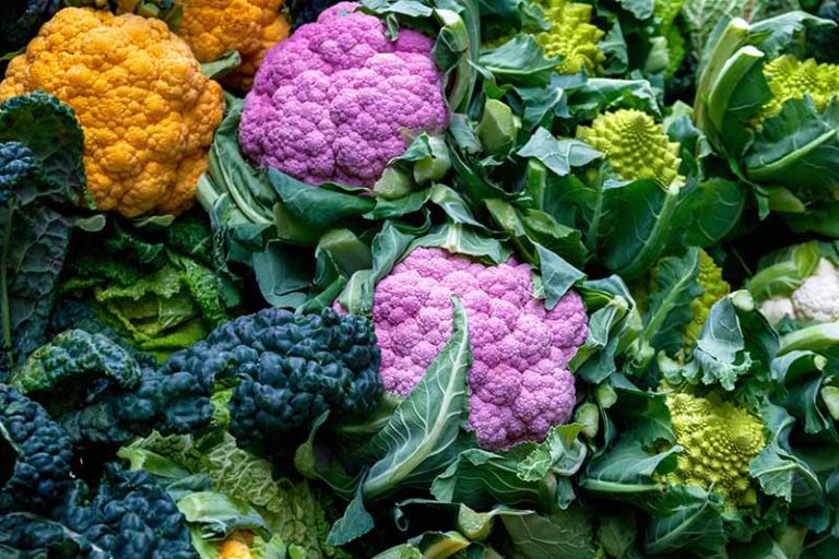 Should You Eat More Purple Produce? | Gardener’s Path