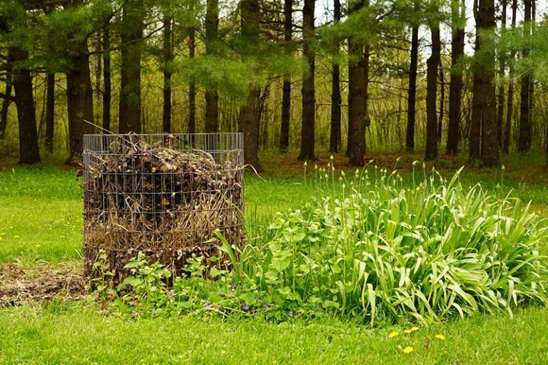 How to Use Leaves for Compost and Mulch | Gardener’s Path
