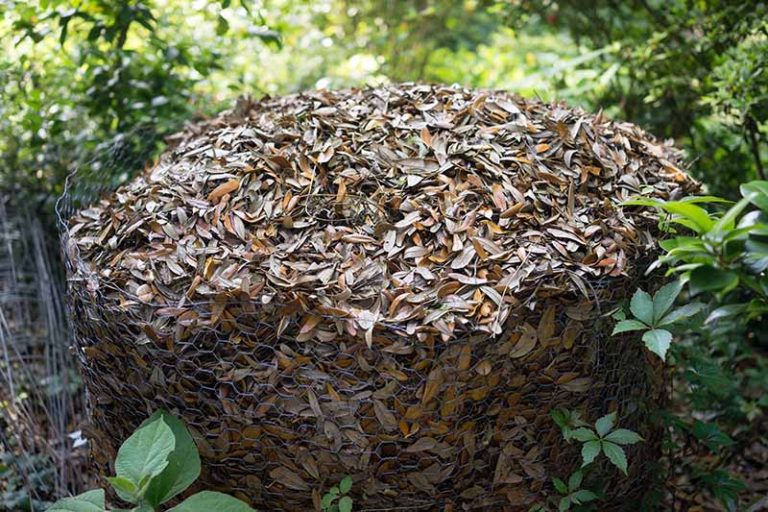 How to Use Leaves for Compost and Mulch | Gardener’s Path
