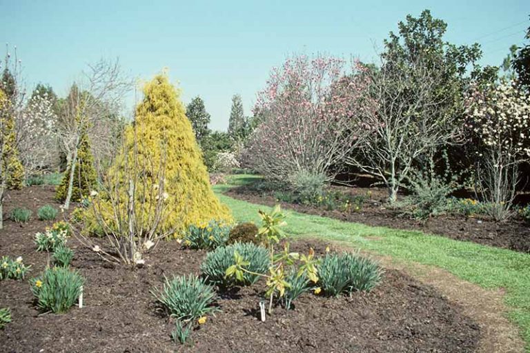 How to Use Leaves for Compost and Mulch | Gardener’s Path