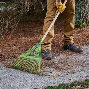 7 of the Best Leaf Rakes for 2024 | Gardener's Path Review