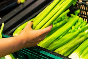 When and How to Harvest Celery | Gardener’s Path