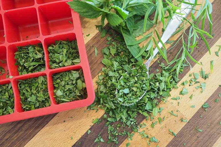 How to Freeze Fresh Herbs for Storage | Gardener’s Path