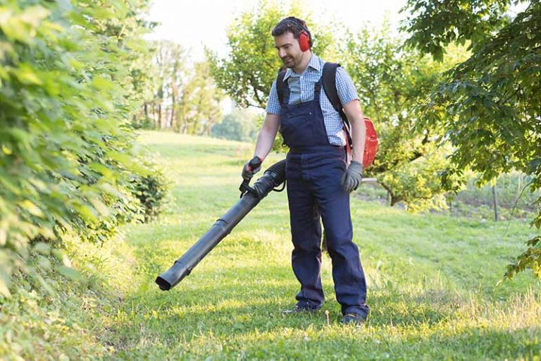 9 of the Best Leaf Blowers in 2022 | A Gardener’s Path Buying Guide