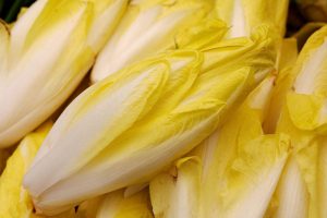 How to Grow Belgian Endive | Gardener’s Path
