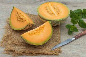 33 of the Best Melon Varieties | Gardener’s Path