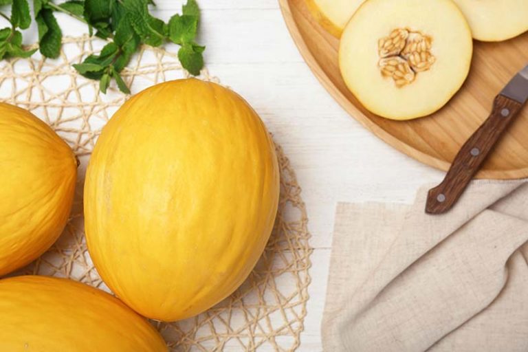 33 of the Best Melon Varieties | Gardener’s Path