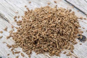 How to Plant and Grow Anise | Gardener’s Path