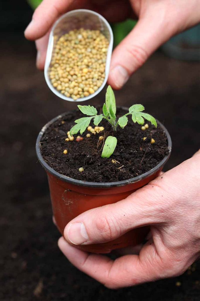 Plant Nutrients: What They Need and When They Need It