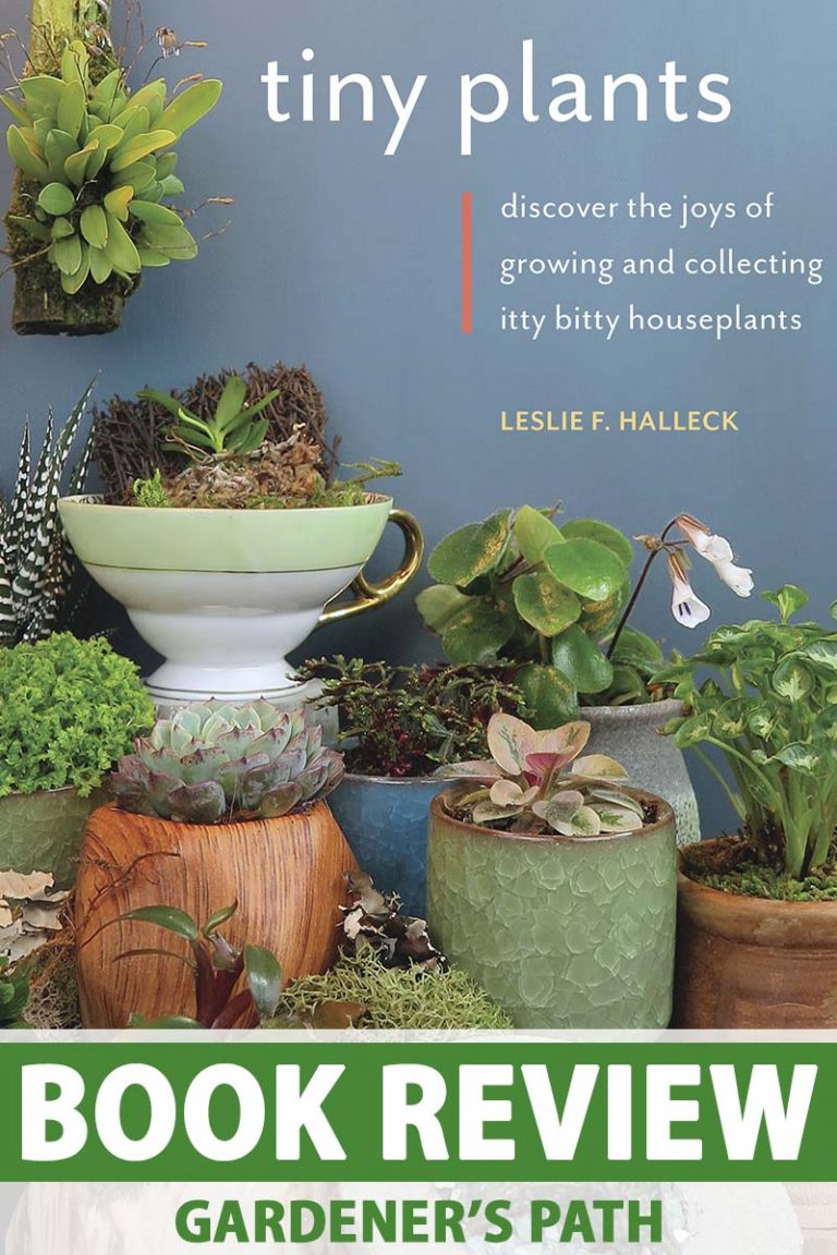 Tiny Plants Book Review | Gardener’s Path