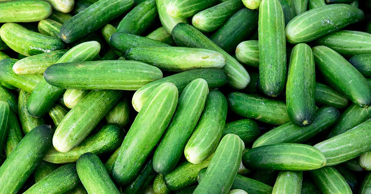 Benefits Of Cucumber Blog