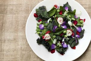 Are Fuchsia Berries, Leaves, and Flowers Edible? | Gardener’s Path