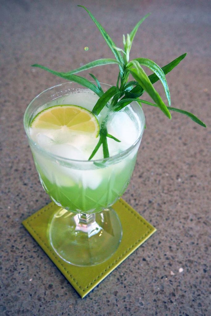 How to Grow and Care for French Tarragon | Gardener's Path