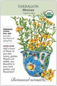 How to Grow Mexican Tarragon | Gardener’s Path