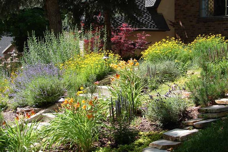 Tips for Growing a Native Wildflower Landscape | Gardener’s Path