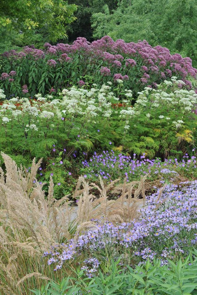 Tips for Growing a Native Wildflower Landscape | Gardener’s Path