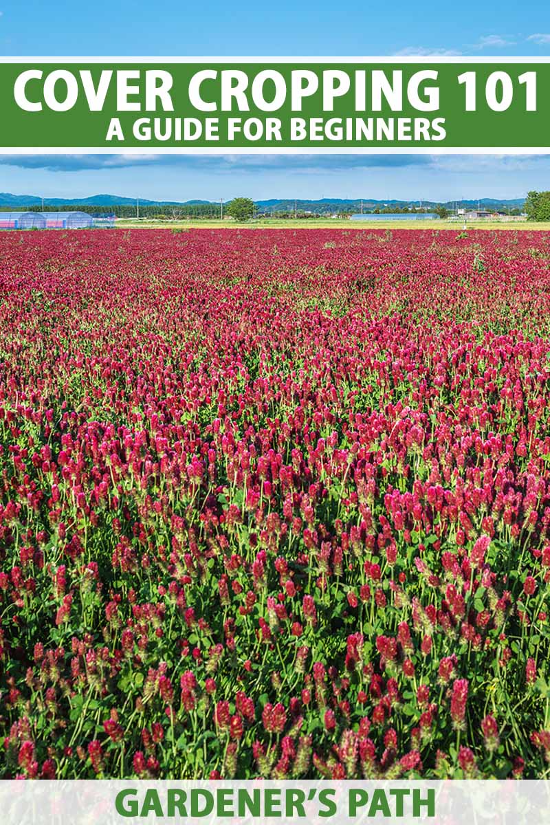 How To Cover Crop Techniques Tips And Tricks Make House Cool How To Cover Crop Techniques Tips And Tricks Make House Cool