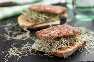 How to Grow Alfalfa Sprouts at Home | Gardener’s Path