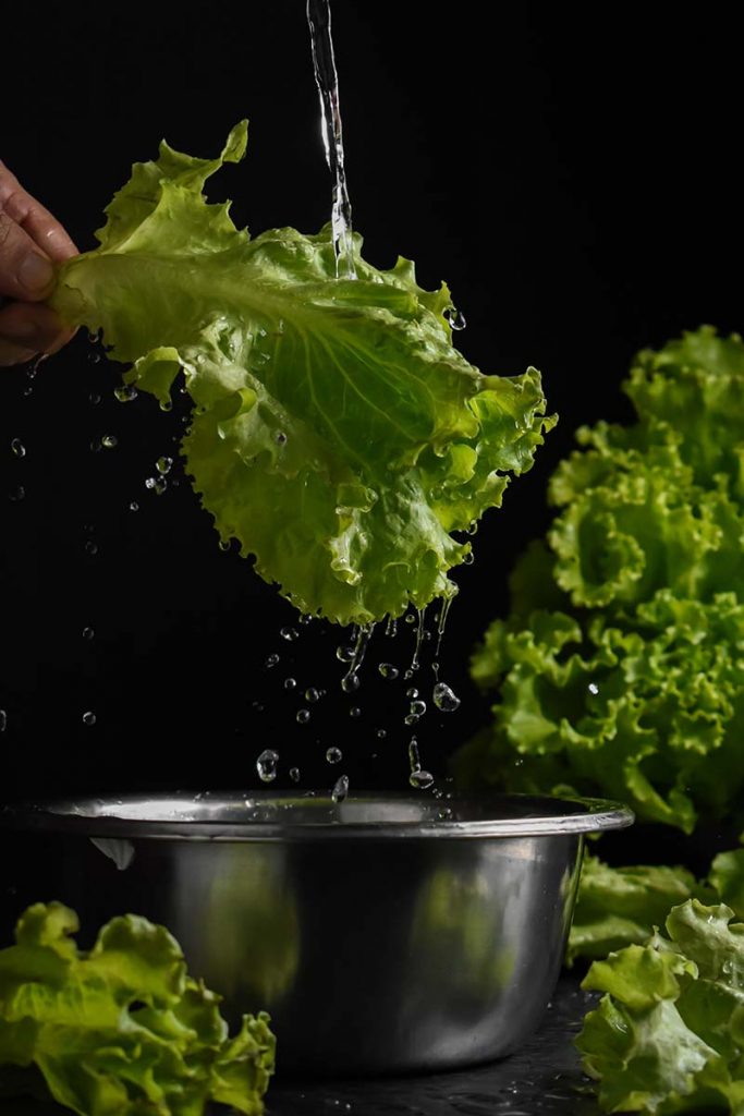 How and When to Harvest Leaf Lettuce | Gardener’s Path